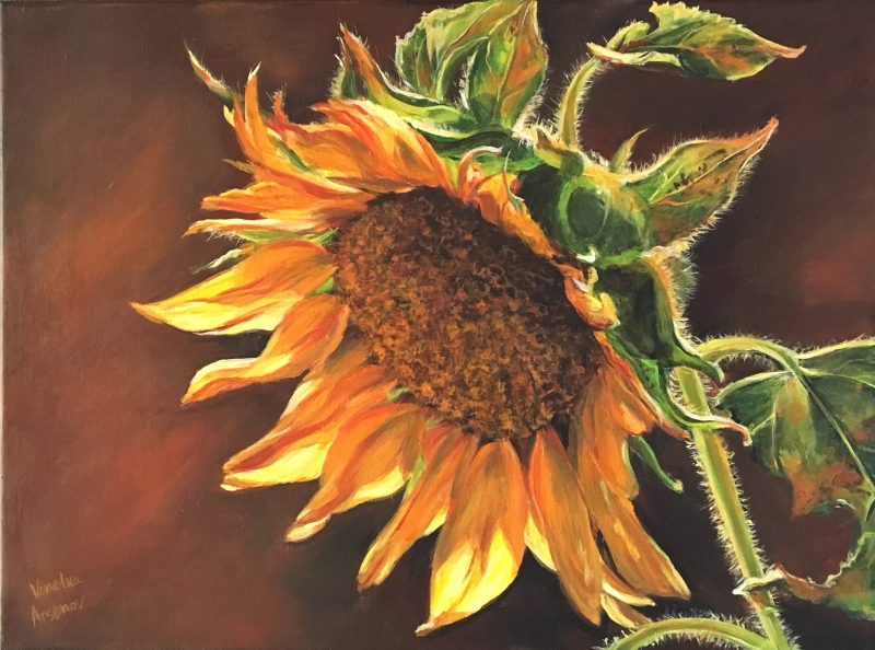 Floral Fine Art Gallery – Fine Art by Venetka Arsenov